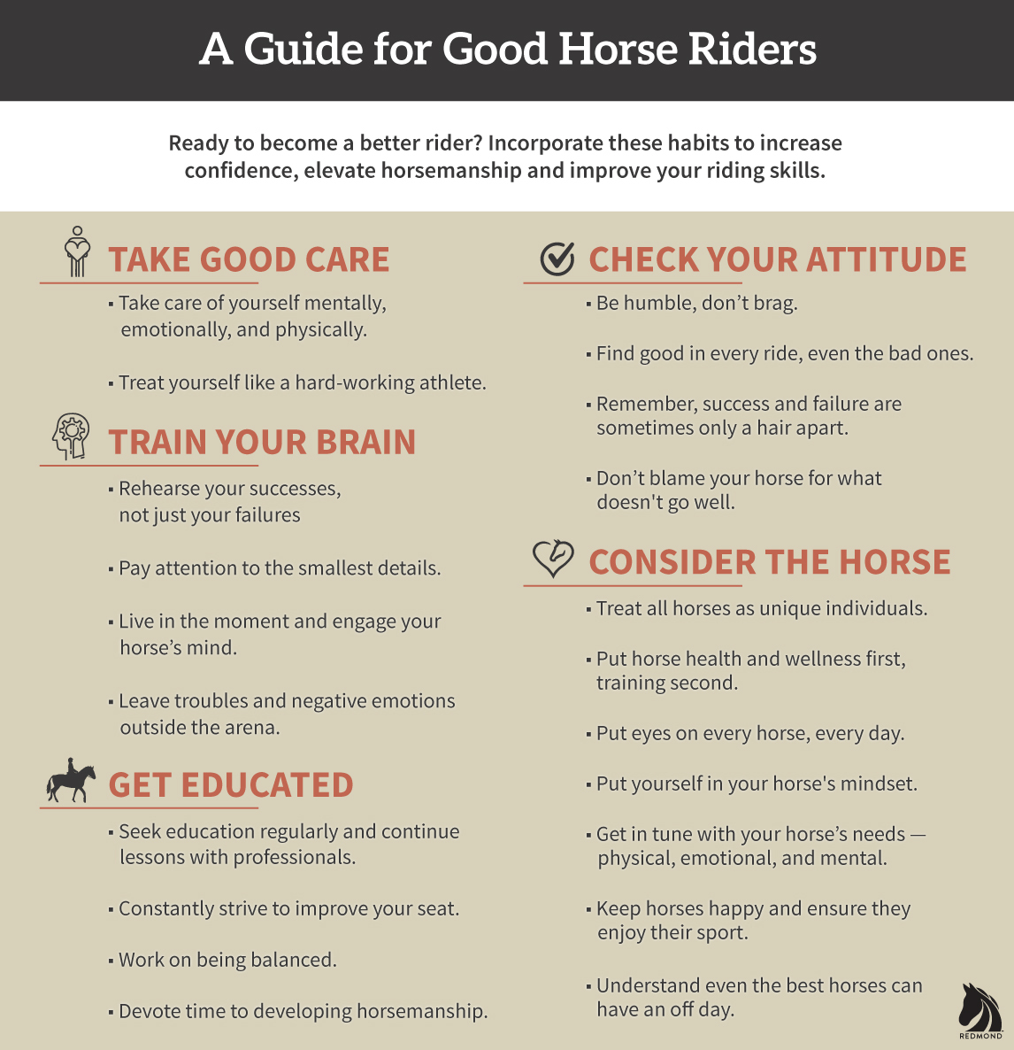 21 Horse Riding Tips for Beginners & Advanced Riders