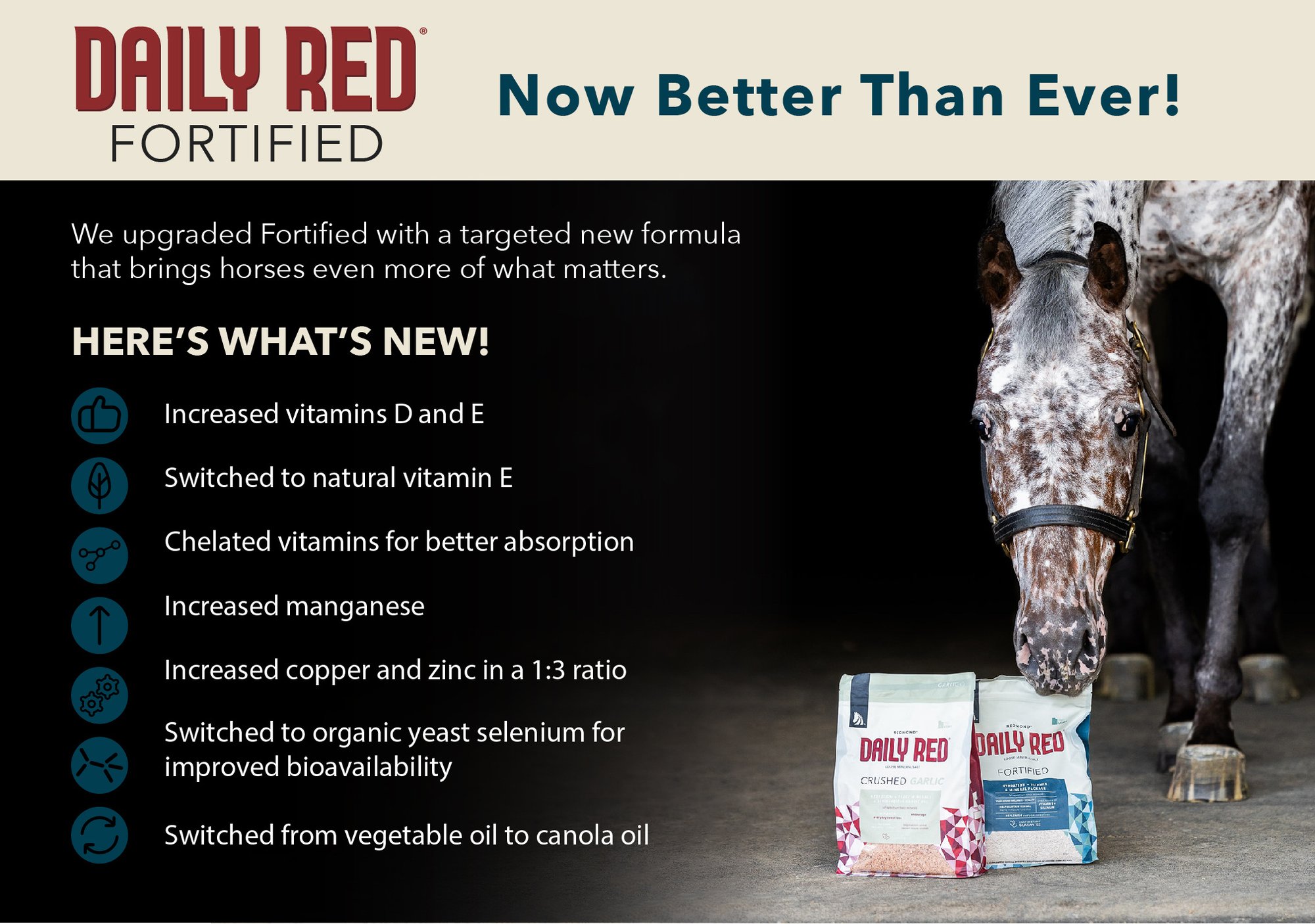 Redmond Daily Red: Crushed vs Fortified Loose Horse Minerals