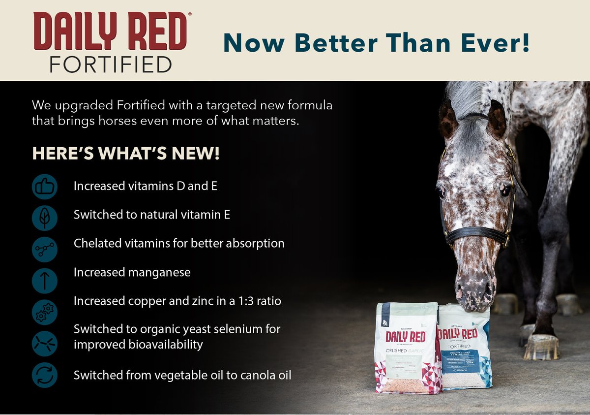 Redmond Daily Red: Crushed vs Fortified Loose Horse Minerals