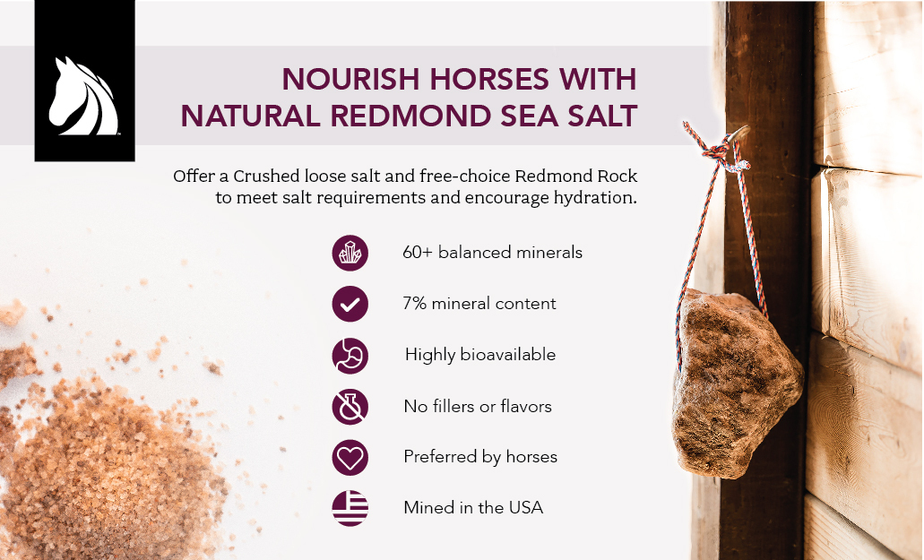 Why You Should Be Feeding Loose Salt for Horses
