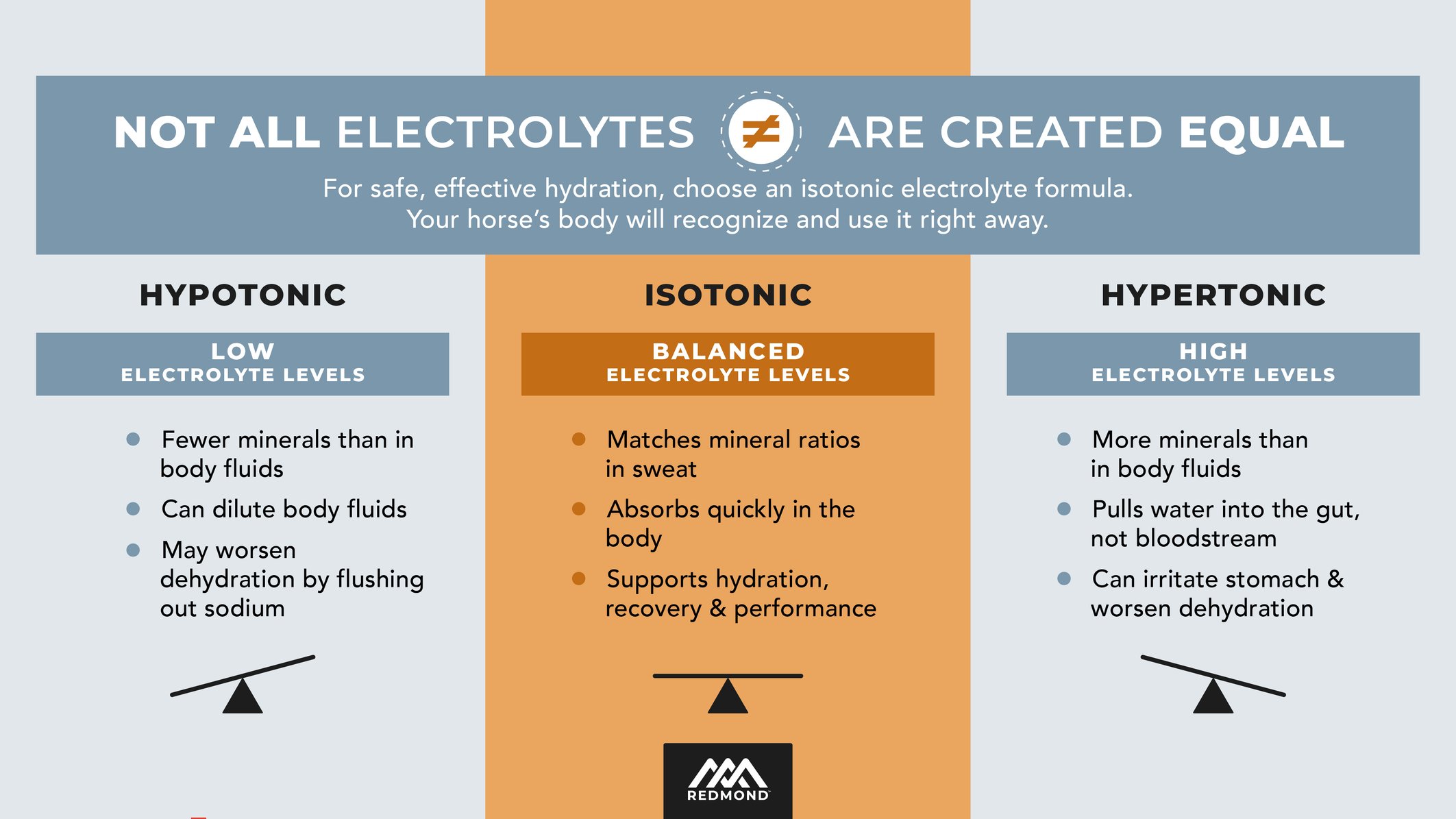 Salt vs. Electrolytes for Horses: When to Feed Each and Why